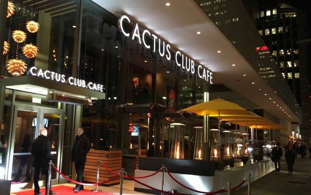 cactus | Clubs In Toronto